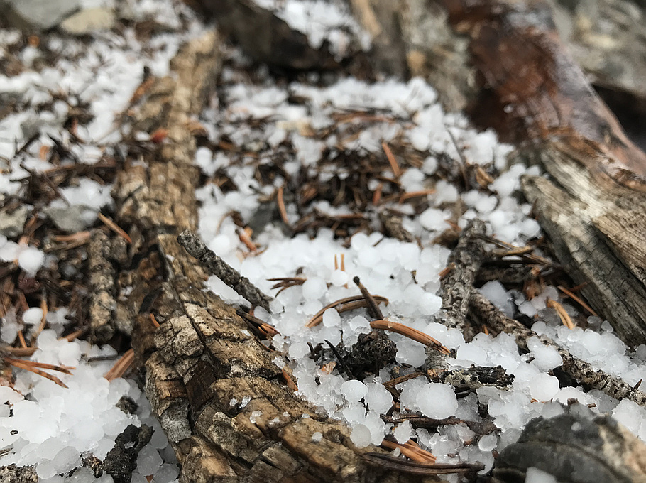 Mummy Mountain - Nevada, United States | peakery