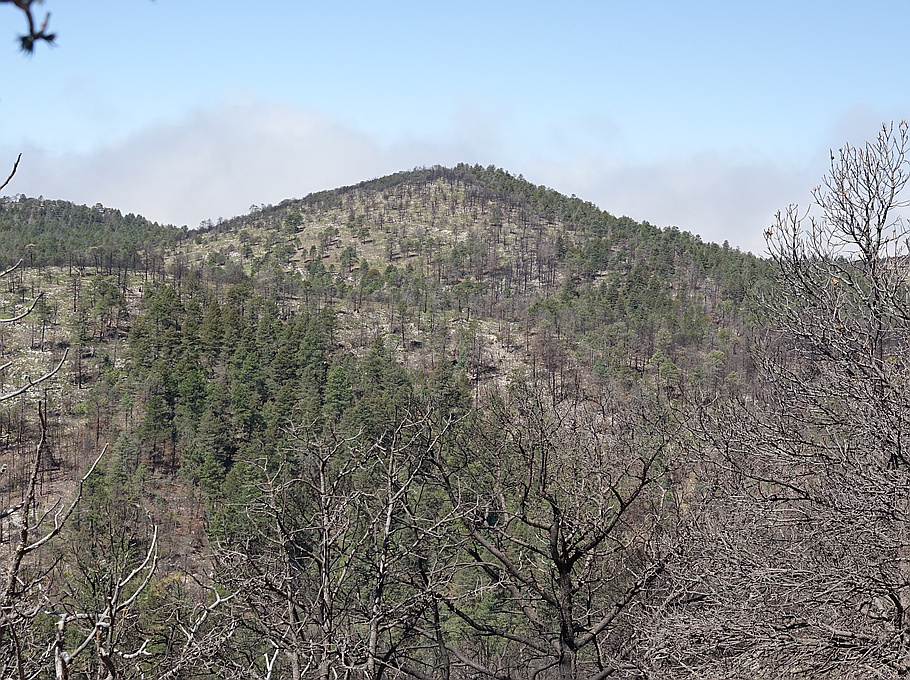 Blue Ridge - Texas | peakery