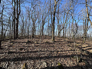 Georgia mountains | peakery