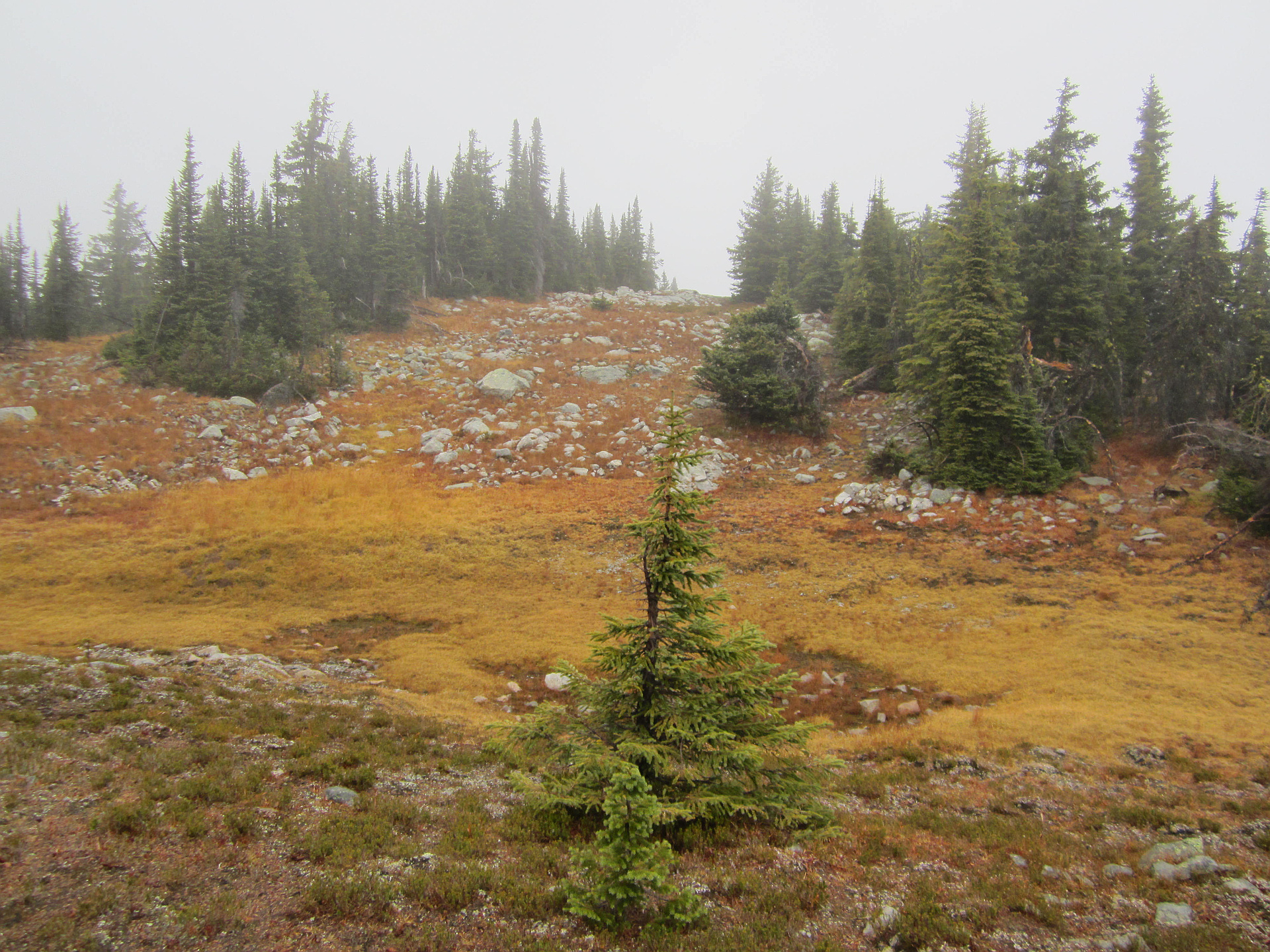 Galloping Mountain - British Columbia | peakery