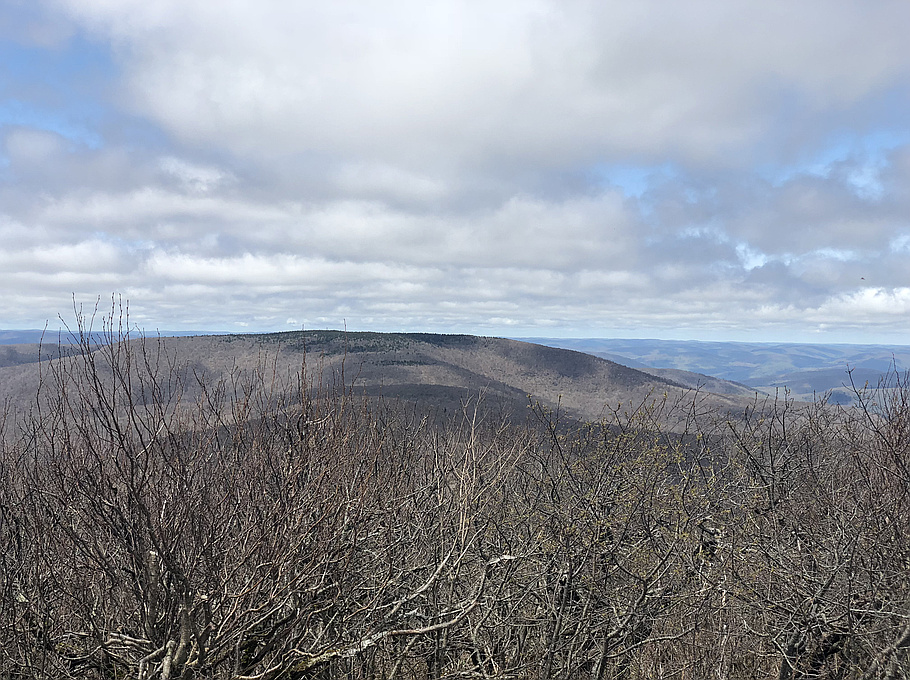 Graham Mountain - New York, United States | peakery