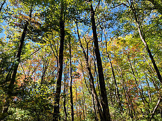 Georgia mountains | peakery