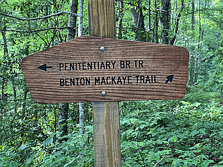 Georgia mountains | peakery