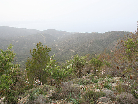 Cyprus mountains | peakery