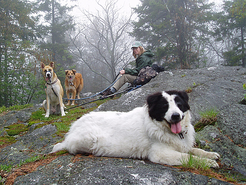 Little Monadnock Mountain - New Hampshire | peakery