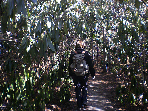 Little Monadnock Mountain - New Hampshire | peakery