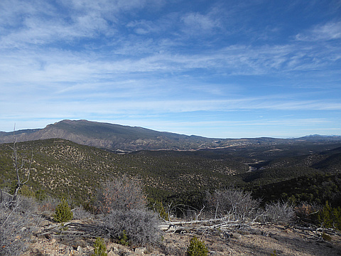 Manzano Mountain - New Mexico | peakery
