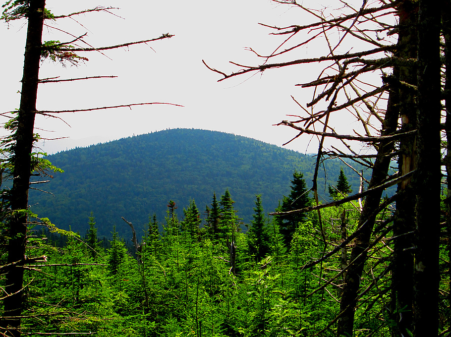 Mt Cleveland - Vermont | peakery