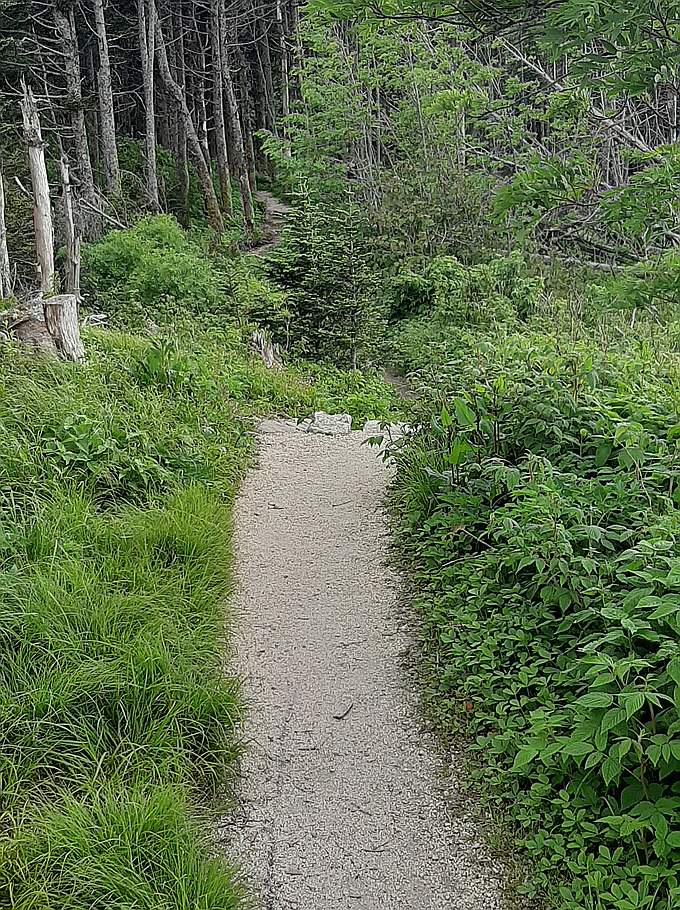 Mount Craig - North Carolina, United States | peakery