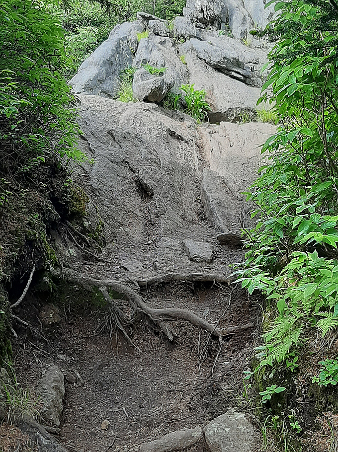 Mount Craig - North Carolina, United States | peakery