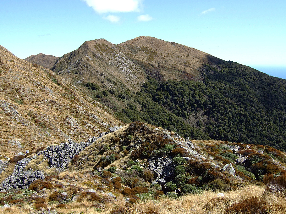 Mt Ryall - New Zealand | peakery