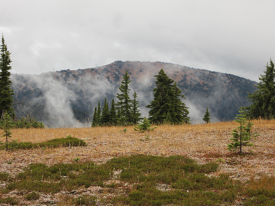 Mt Scaia - British Columbia | peakery