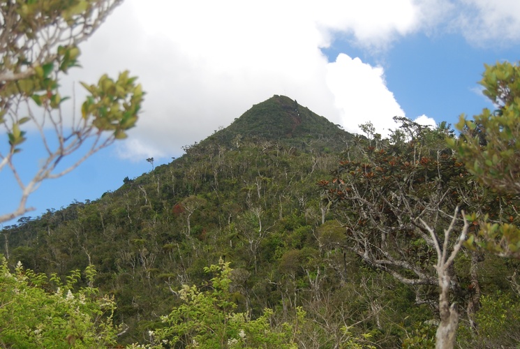 Mauritius mountains | peakery