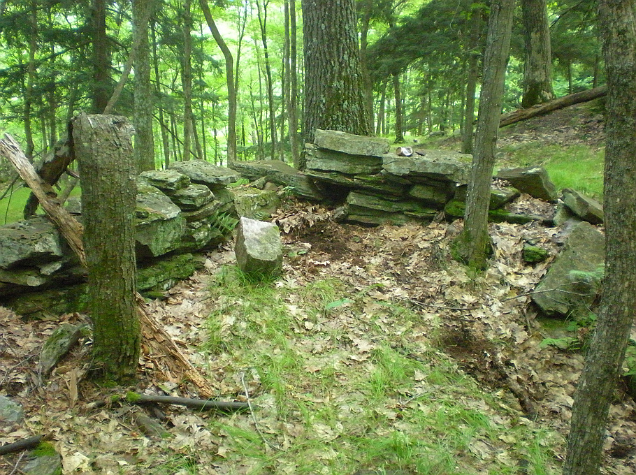 Surry Mountain - New Hampshire, United States | peakery