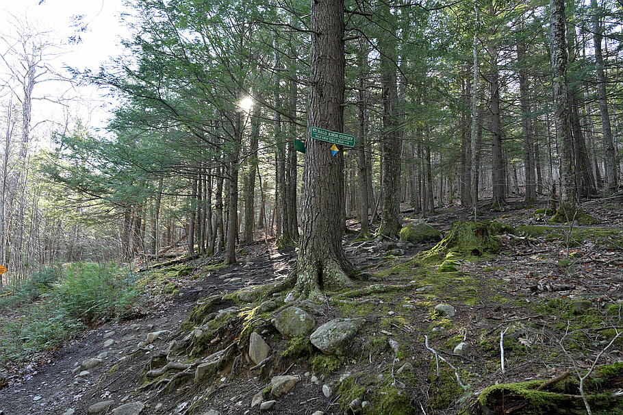 Turtleback Mountain - New Hampshire, United States | peakery