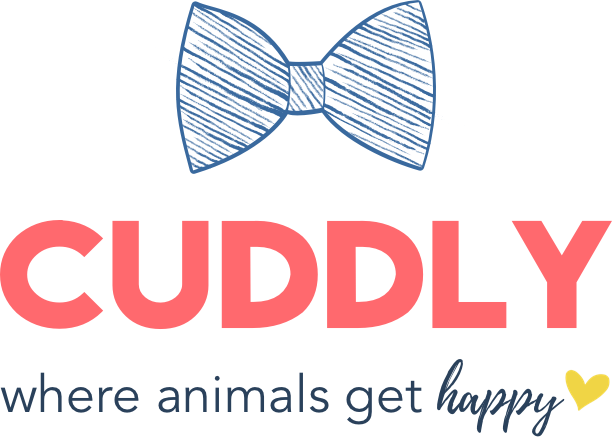 Animal Welfare Success Story - Evander Holyfield | CUDDLY