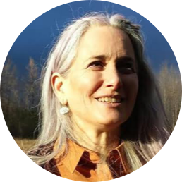 Top 50 Free Website Plugins to supercharge your site