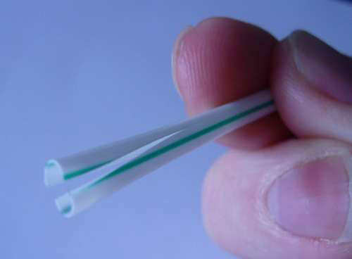 Supplemental- Lesson 11: Flying Pterodactyl! - C.S.W.D