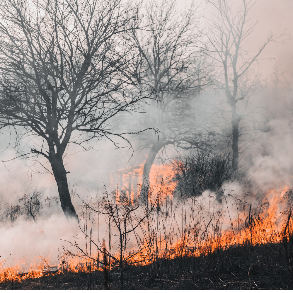 Saddleback Church: Saddleback Relief: Prayer for Dixie Fire