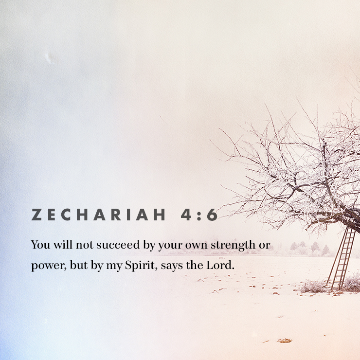 Saddleback Church: Series: 50 Days of Transformation