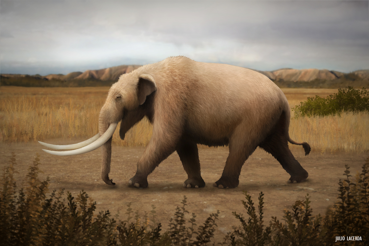 Trapped in tar: The Ice Age animals of Rancho La Brea | Earth Archives