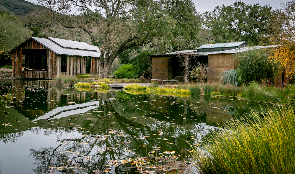 Silverado Trail: Napa Valley’s road less traveled | The Press