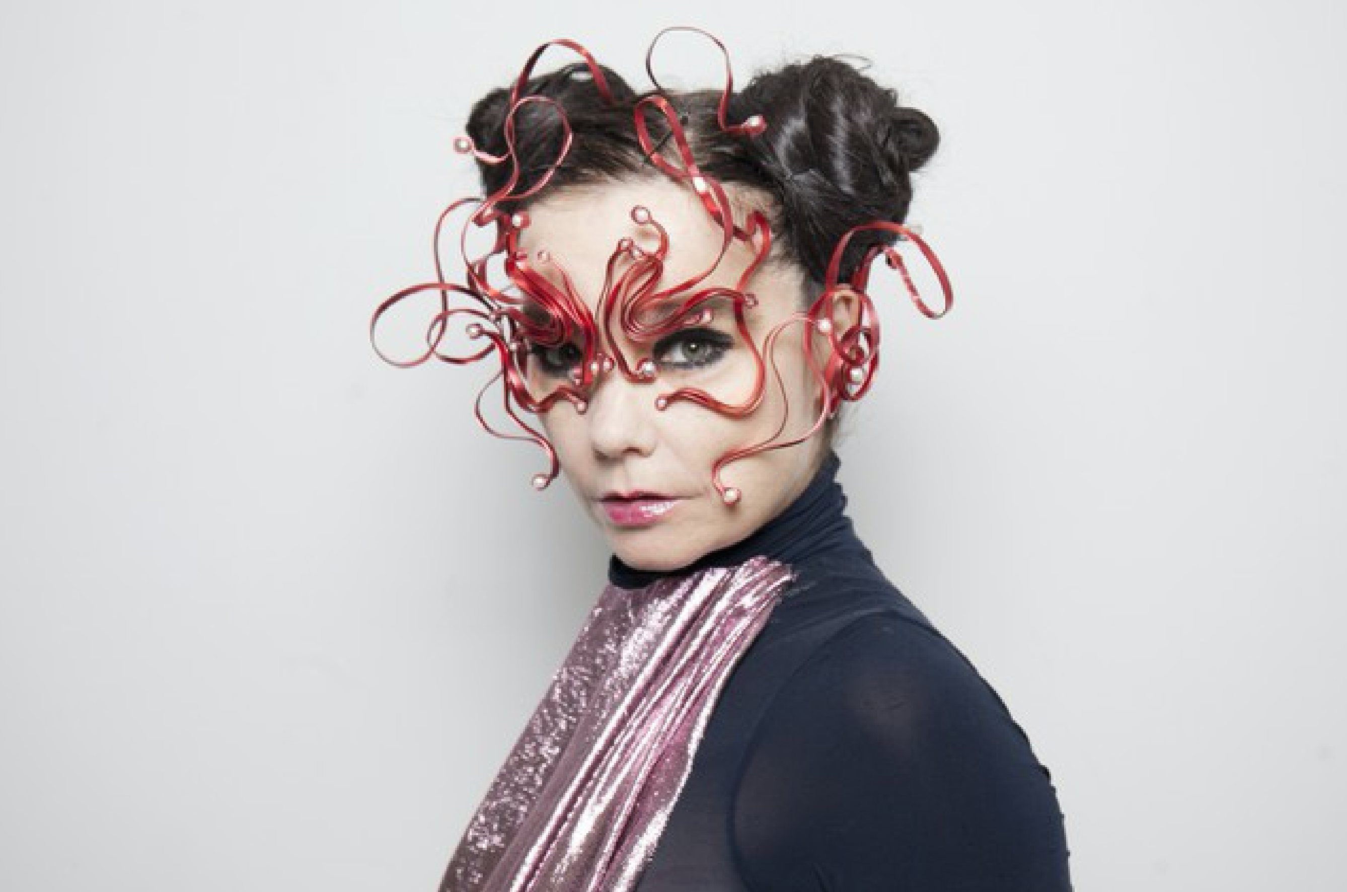 Why does Bjork hardly show her face anymore? | Lipstick Alley