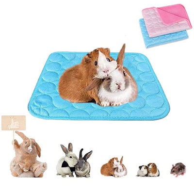 Portable Hamster Rabbit Carrier Backpack Breathable Cool Hedgehog Sugar ...