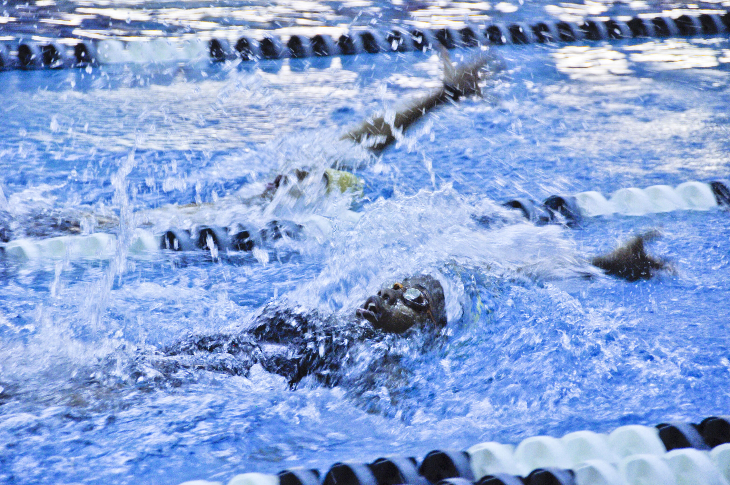 Water Safety Training & Education NYC - Swim Strong