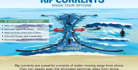 Why is Swimming one of the Most Heart Healthy Exercises? - Swim Strong ...