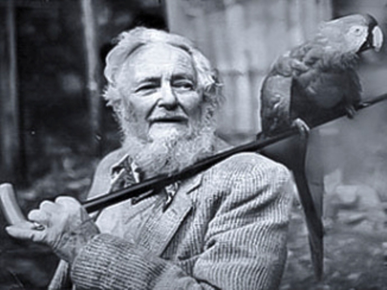 Jardín Surrealista De Edward James: Guía Definitiva - Tips Para Tu Viaje