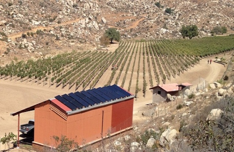Guía Completa De Valle De Guadalupe, Baja California