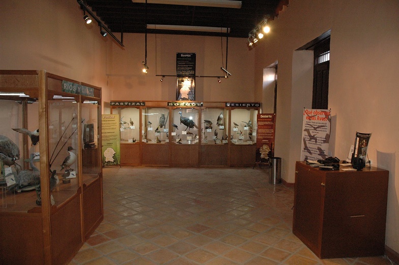 Viesca, Coahuila - Pueblo Mágico: Guía Definitiva - Tips Para Tu Viaje