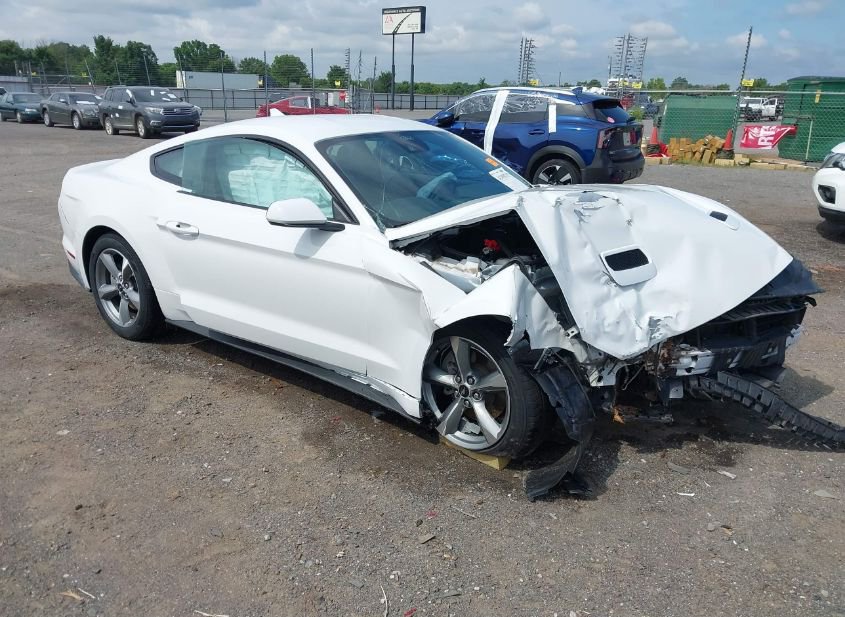 Salvage 2021 FORD MUSTANG Ecoboost fastback for Sale in SCOTT, AR ...