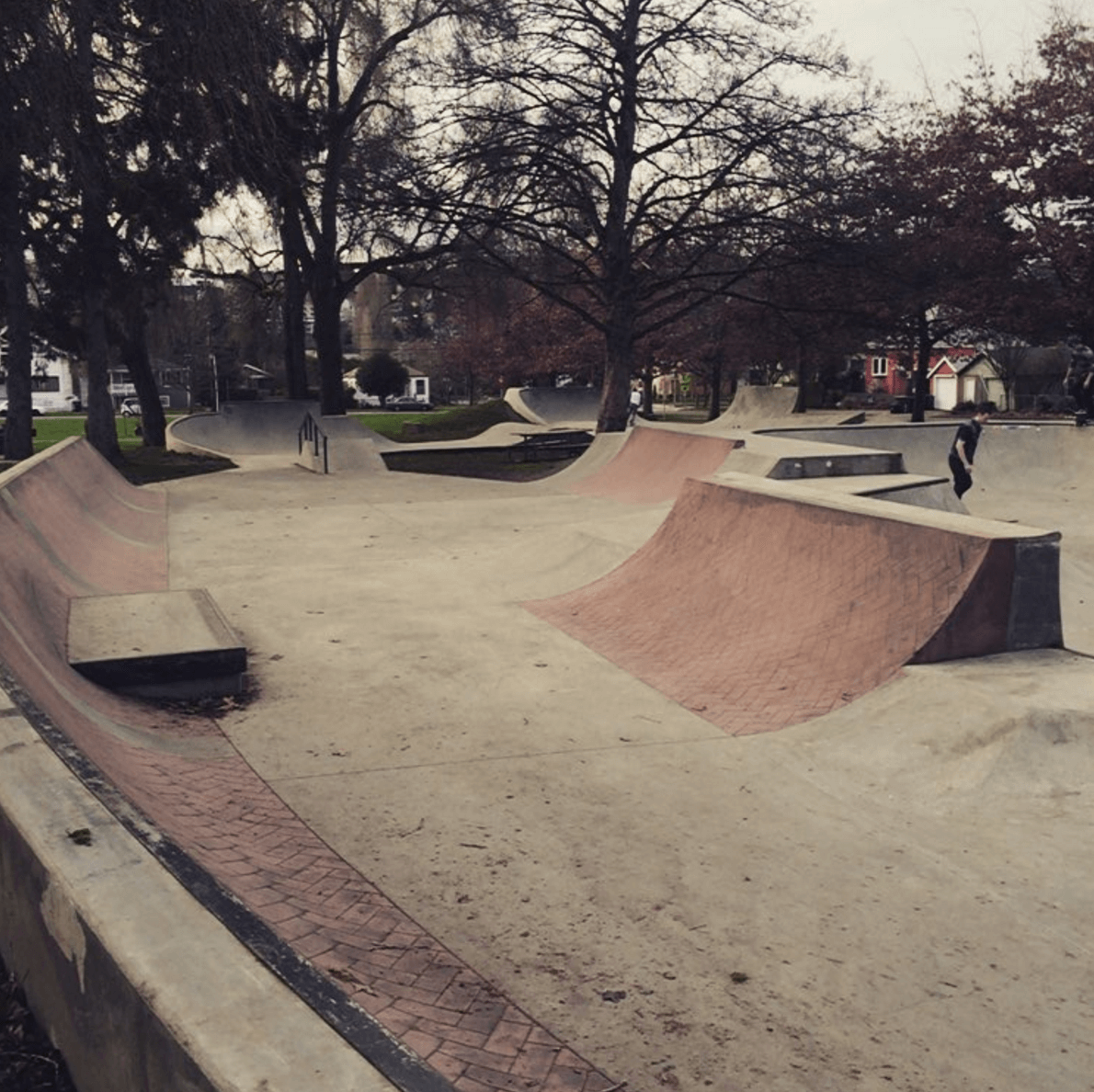 Delridge Skatepark - Seattle, WA | West Coast Skateparks
