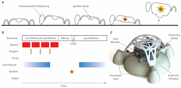 3D Printed Soft Robot