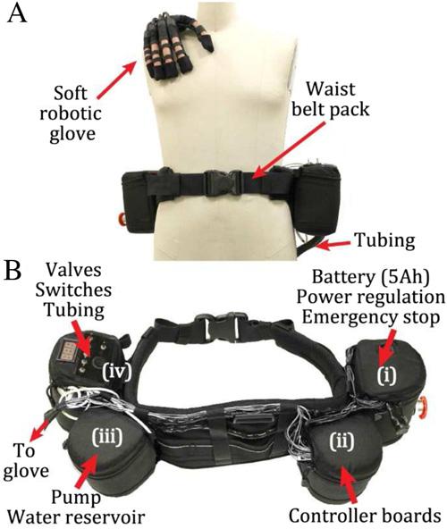 Soft Robotic Glove