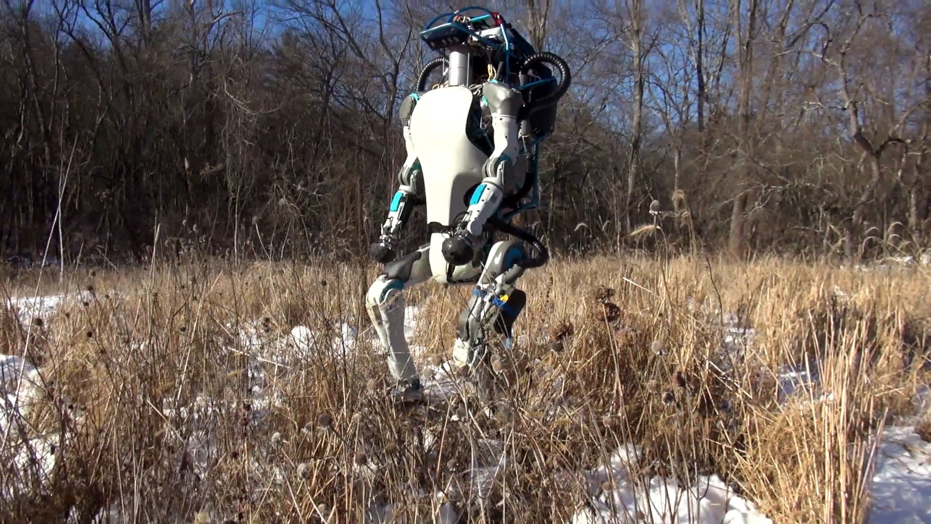 Atlas Robot