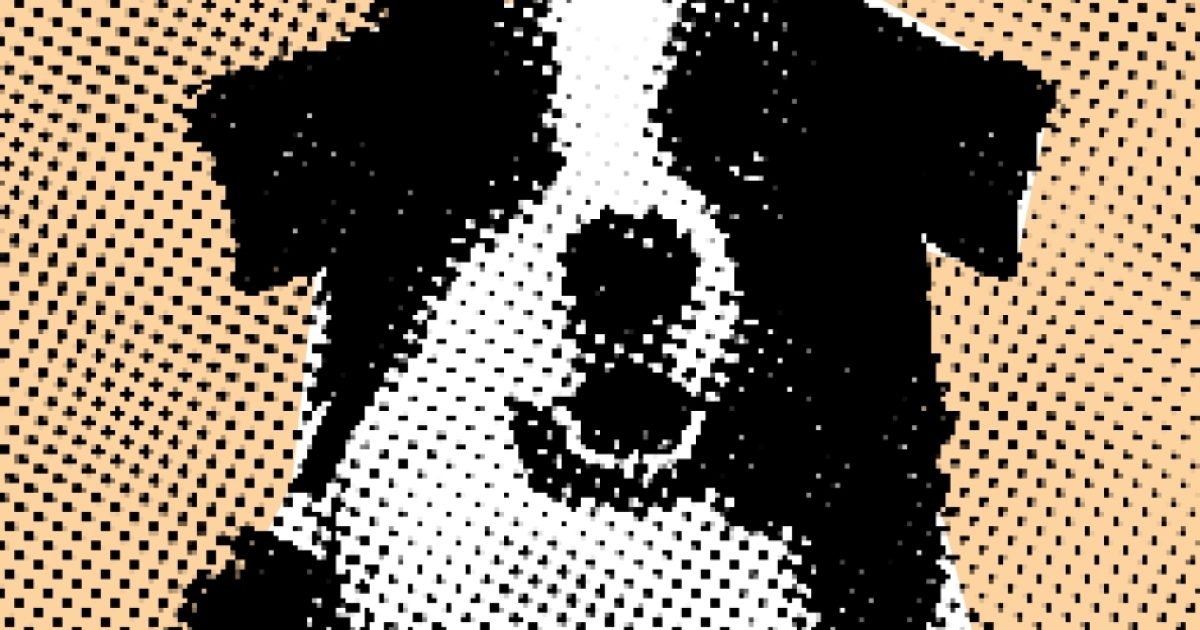 Good Dog Design | Tom Gooden