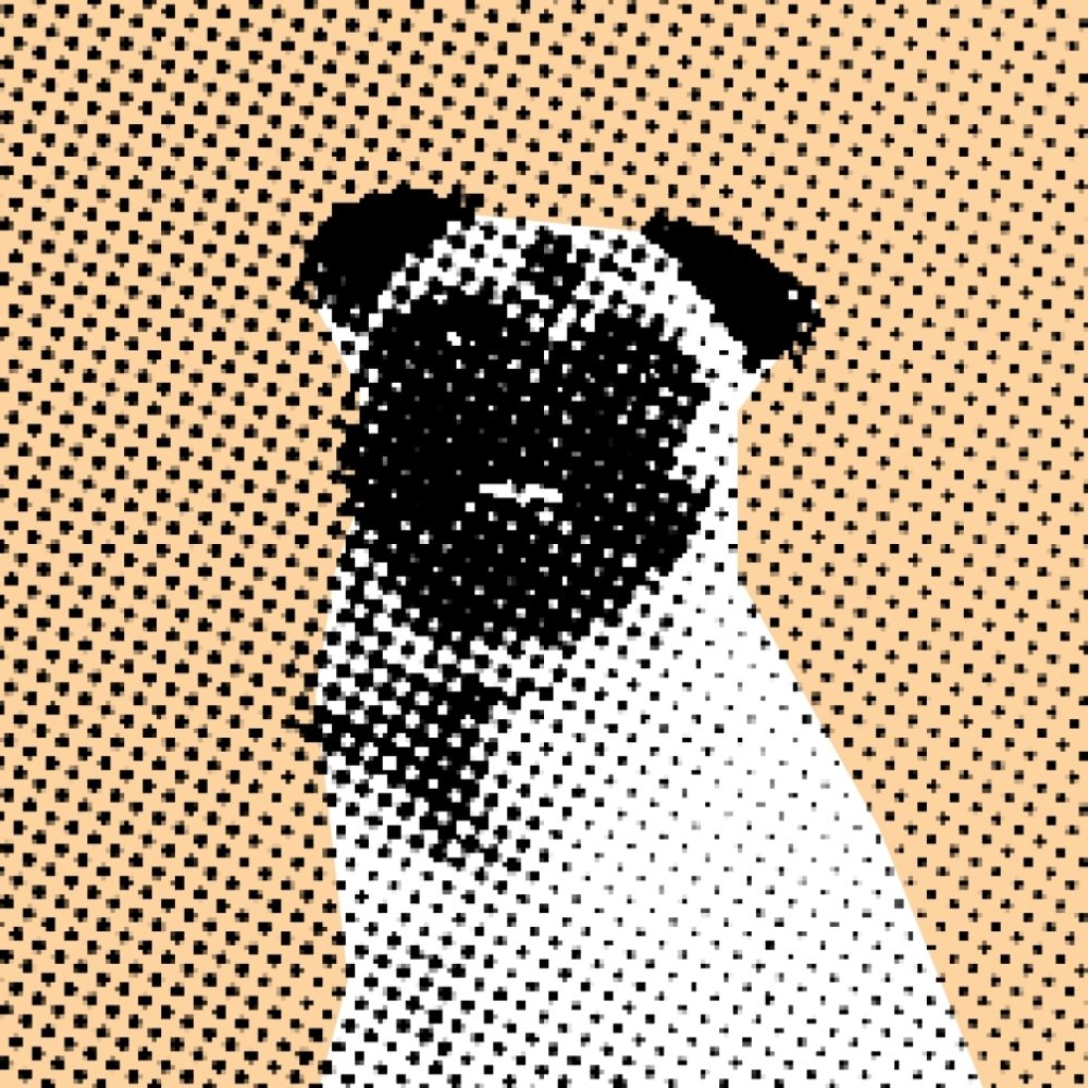 Good Dog Design | Our Team